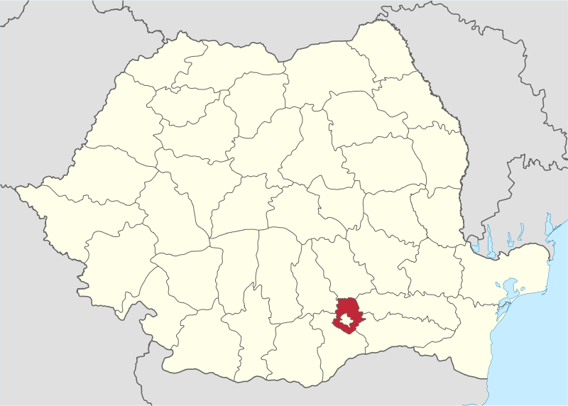 BUCURESTI: Pregatire Academia de Politie si Scoala de Politie